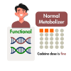 Understanding Medicine Metabolizers: Genetic Variability